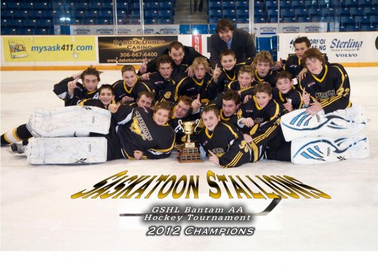 Saskatoon AA Hockey powered by GOALLINE.ca