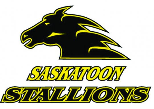 Saskatoon AA Hockey powered by GOALLINE.ca